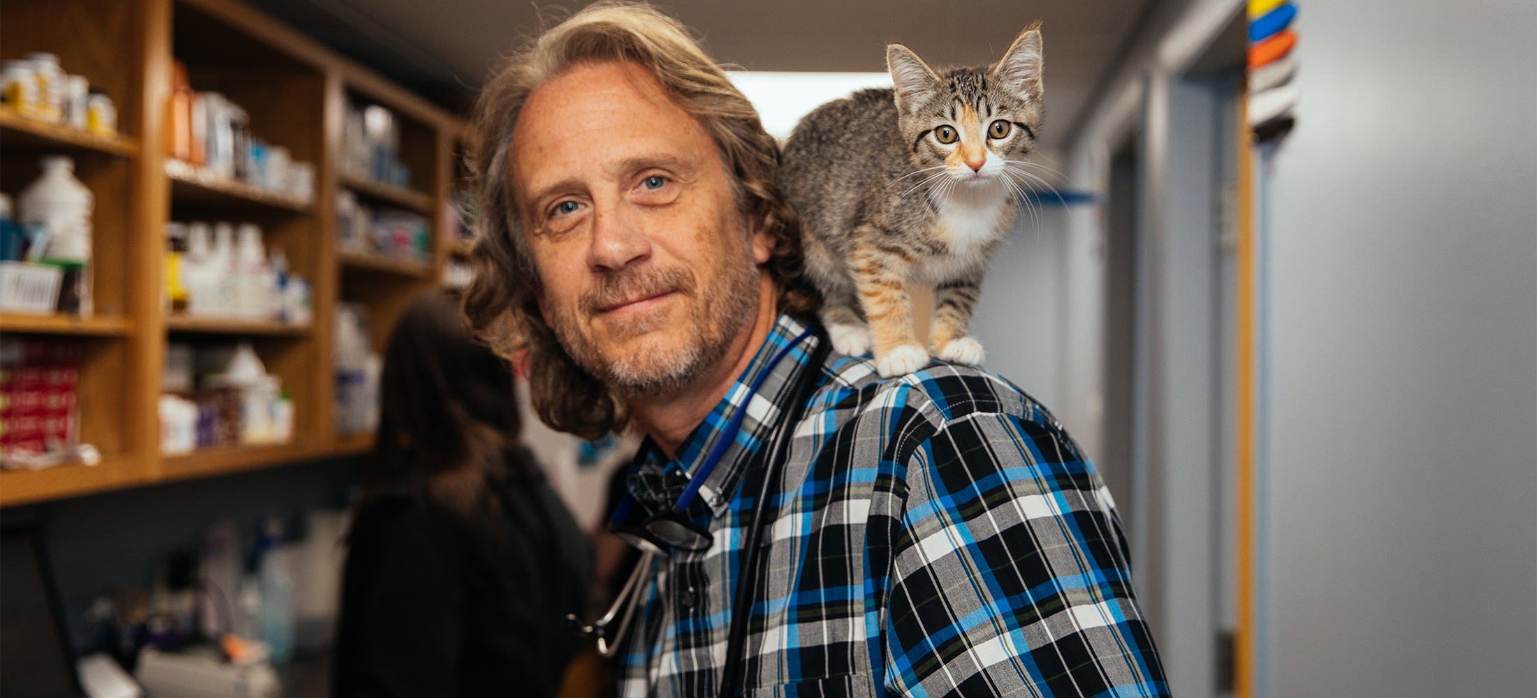 Cat Veterinarian in Veazie, ME - Veazie Veterinary Clinic