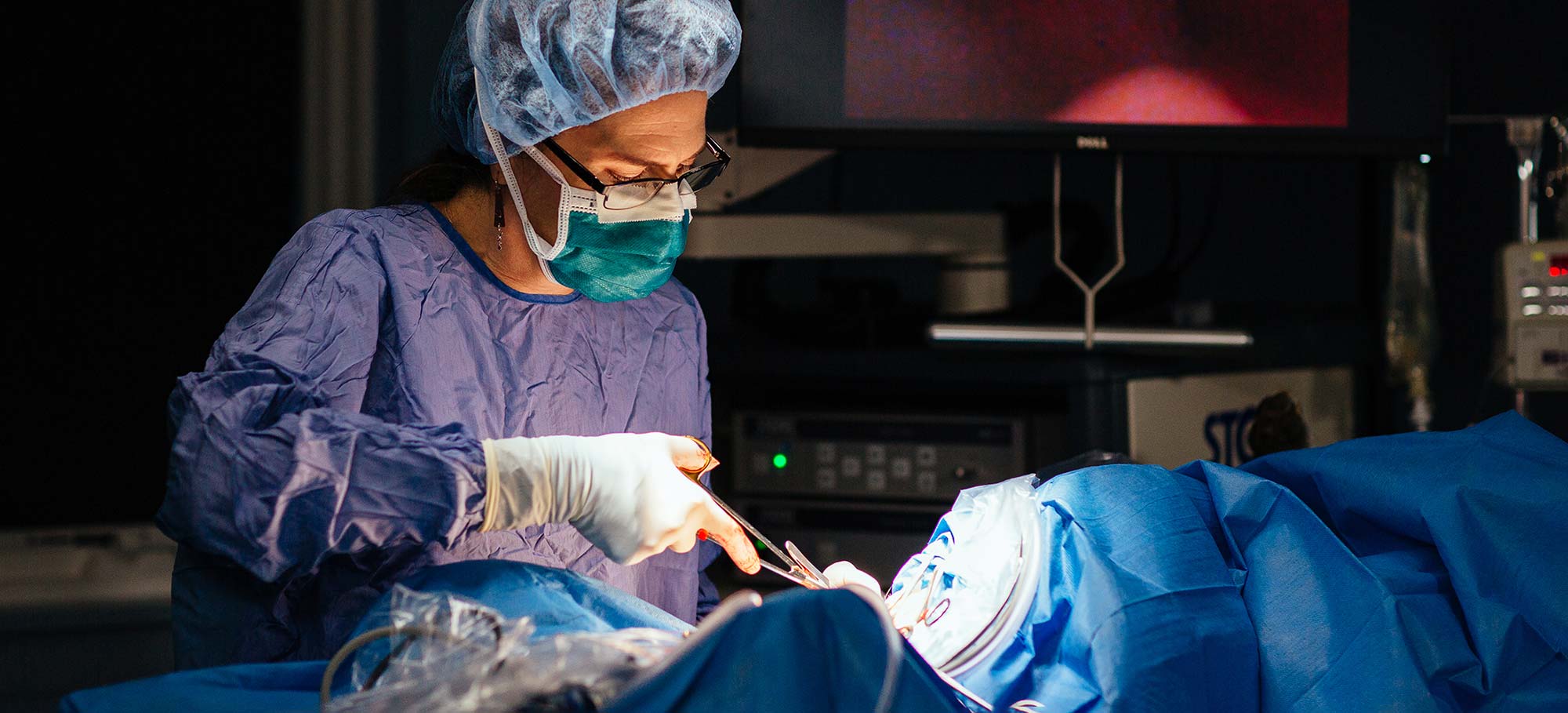 Pet Emergency & Surgery - Veazie Veterinary Clinic